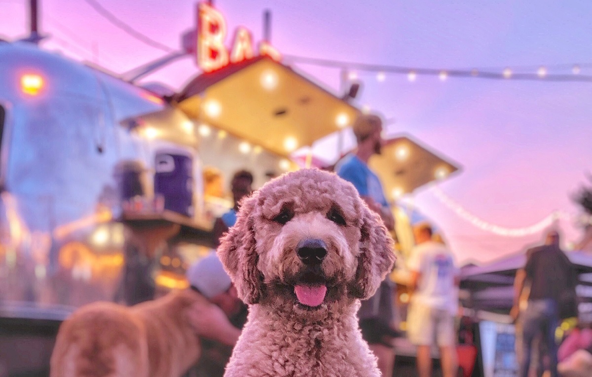 Fetch Dog Park Ties Down Sites Across the Southeast US | LoopNet.com